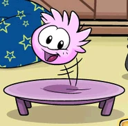 Pink Puffle | Club Penguin Wiki | Fandom