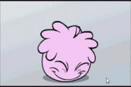 Pink Puffle | Club Penguin Wiki | Fandom