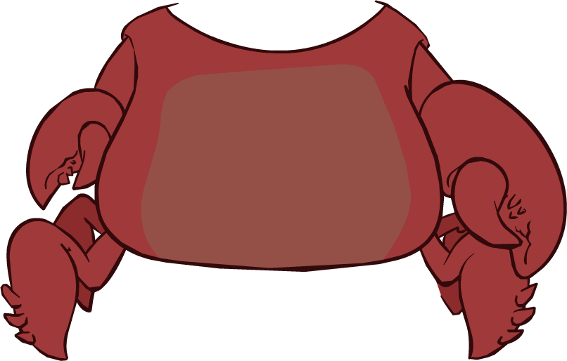 Disfraz de Chet | Club Penguin Wiki | Fandom