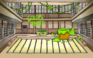 Dojo | Club Penguin Wiki | Fandom