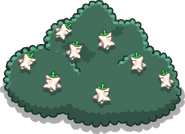 Puffle | Club Penguin Wiki | Fandom