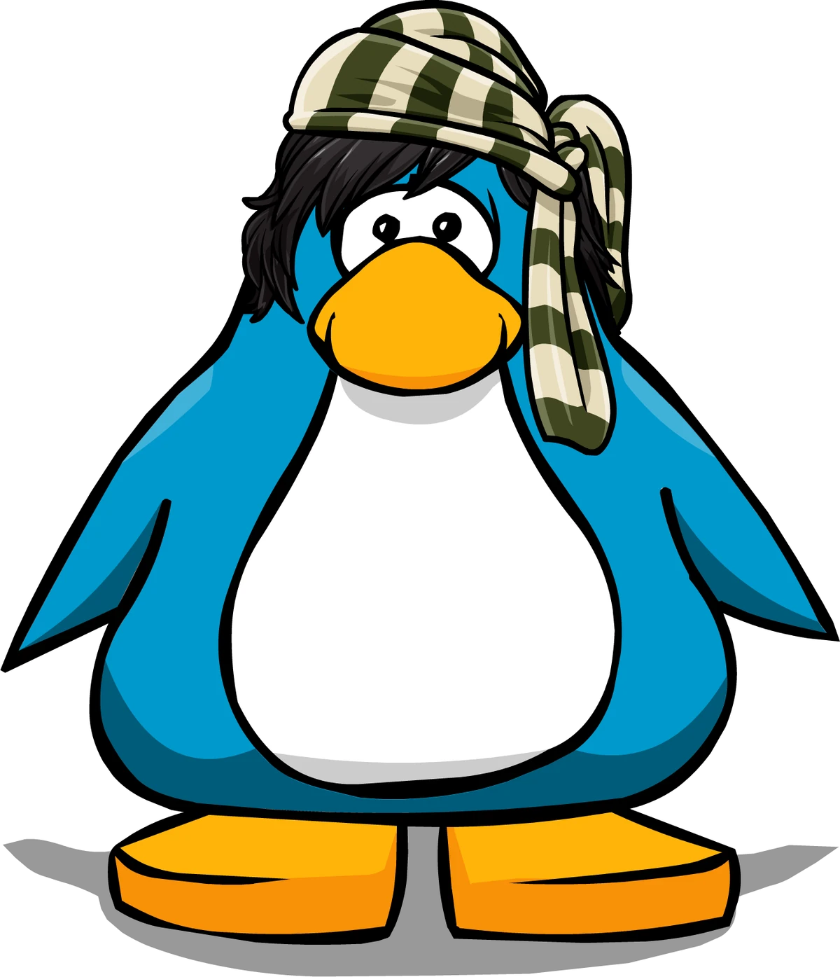 The Pirateer | Club Penguin Wiki | Fandom