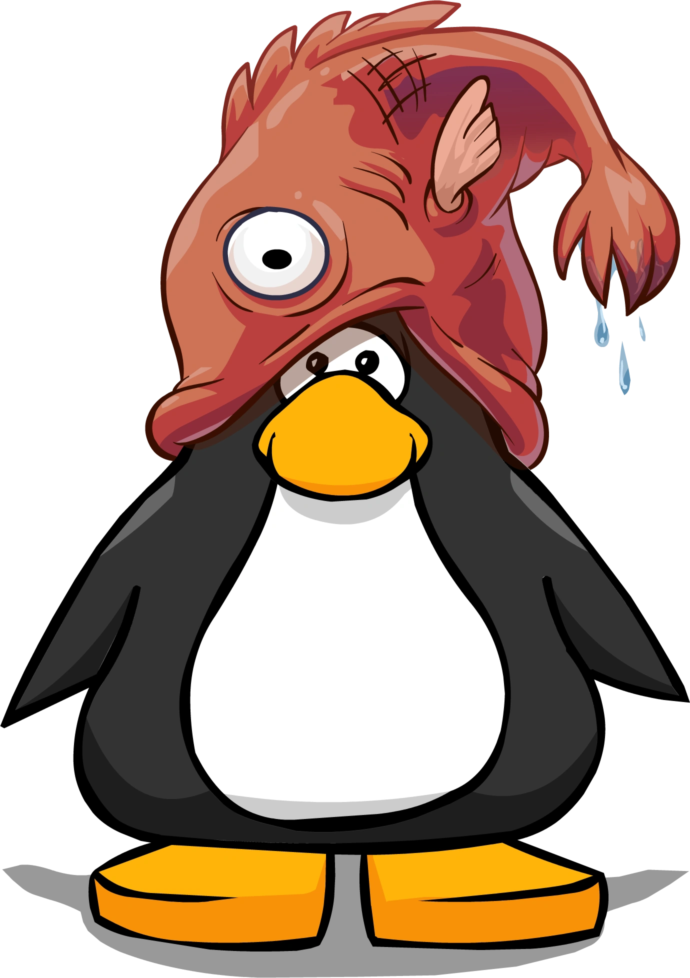 The Mullet | Club Penguin Wiki | Fandom