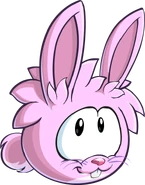 Rabbit Puffles | Club Penguin Wiki | Fandom