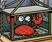 Klutzy | Club Penguin Wiki | Fandom