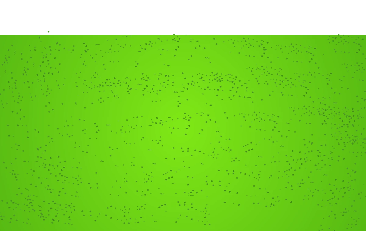 Lime Green Carpet | Club Penguin Wiki | Fandom