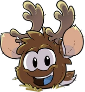 Reindeer Puffle | Club Penguin Wiki | Fandom