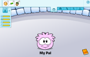 Pink Puffle | Club Penguin Wiki | Fandom