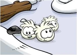 Forum:White Puffle | Club Penguin Wiki | Fandom