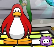 Purple Puffle | Club Penguin Wiki | Fandom