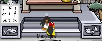 User blog:Rd Manebog/My Snow Dojo | Club Penguin Wiki | Fandom