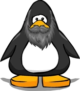 Gray Beard | Club Penguin Wiki | Fandom