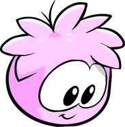 Pink Puffle | Club Penguin Wiki | Fandom