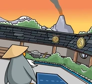 Dojo Fuego | Club Penguin Wiki | Fandom