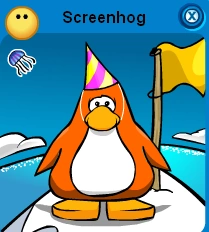 Beta Hat | Club Penguin Beta Hangout Wiki | Fandom