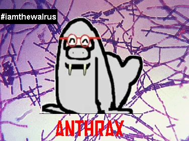 Anthrax Memes
