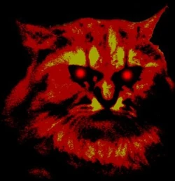 Lulz-Cat | Club Penguin Fan Universe | Fandom