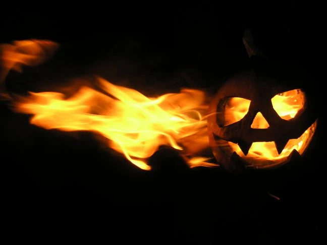 Plumpkin Meteor | Club Penguin Fan Universe | Fandom