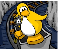 Cart Surfer | Club Penguin Journey Wiki | Fandom