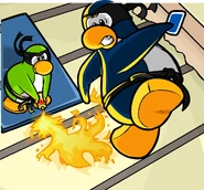 Card-Jitsu | Club Penguin Journey Wiki | Fandom