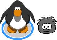 Black Puffle | Club Penguin Journey Wiki | Fandom