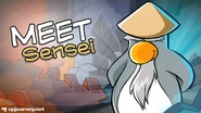 Sensei | Club Penguin Journey Wiki | Fandom