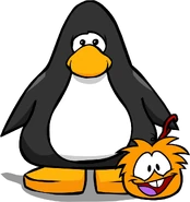 Orange Puffle | Club Penguin Journey Wiki | Fandom