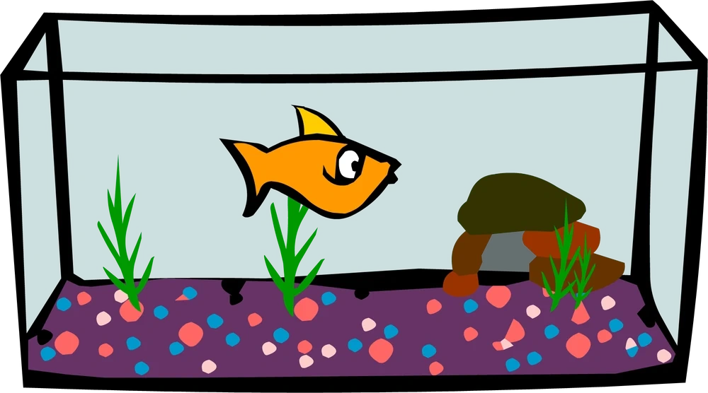 Aquarium | Club Penguin Journey Wiki | Fandom