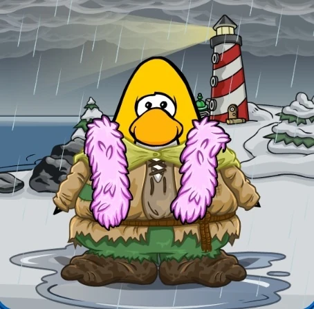 Homeless Pookies | Club Penguin Pookie Wiki | Fandom