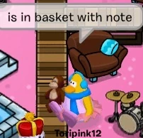 Doorstep Pookies | Club Penguin Pookie Wiki | Fandom