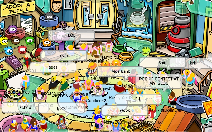 Club Penguin Pookie Feeding