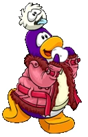 Player Card | The Club Penguin Rocks Wiki | Fandom