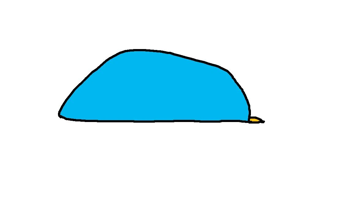 Perry | Club Puffle Wiki | Fandom