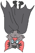 Bat | Cluefinders Wiki | Fandom