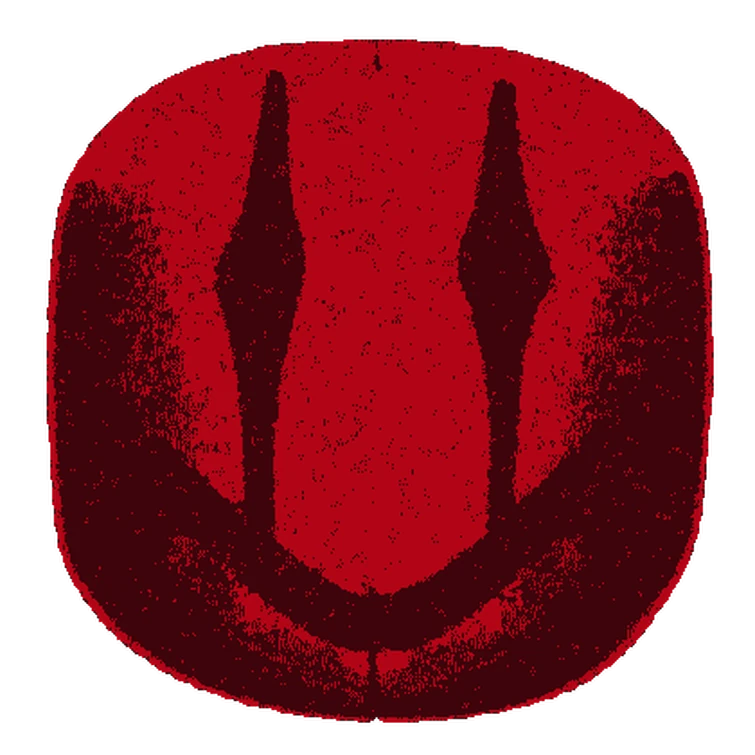 A-44 | Cluttered Rooms Wiki | Fandom