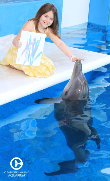 Winter | Clearwater Marine Aquarium Dolphins Wiki | Fandom