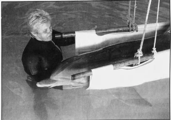 CMA-TT-R8701 | Clearwater Marine Aquarium Dolphins Wiki | Fandom