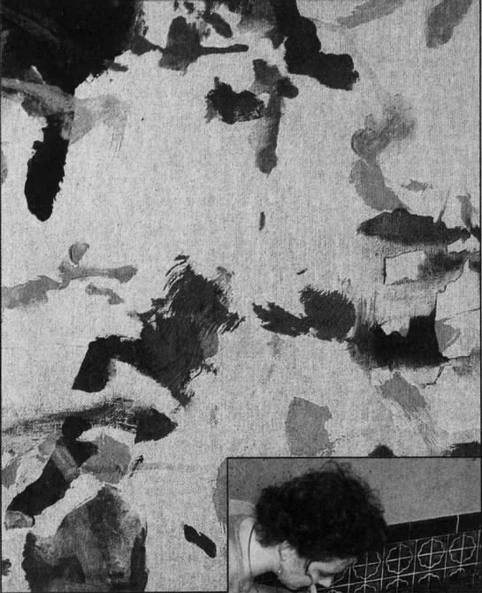 Sunset Sam | Clearwater Marine Aquarium Dolphins Wiki | Fandom