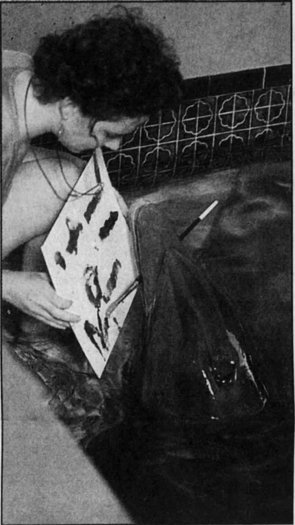 Sunset Sam | Clearwater Marine Aquarium Dolphins Wiki | Fandom