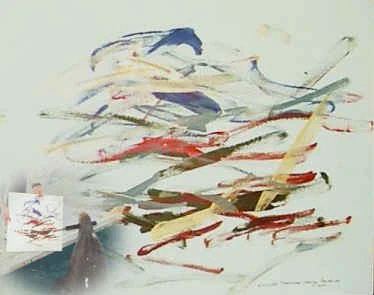 Sunset Sam | Clearwater Marine Aquarium Dolphins Wiki | Fandom