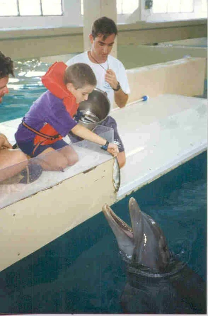 Sunset Sam | Clearwater Marine Aquarium Dolphins Wiki | Fandom
