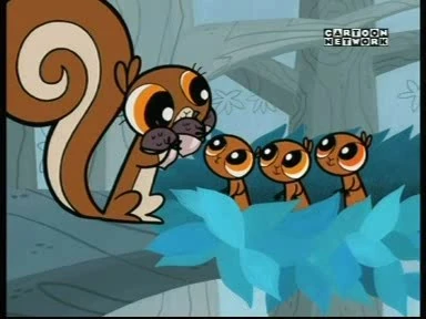 List of Species seen in The Powerpuff Girls | Cartoon Network Animals ...