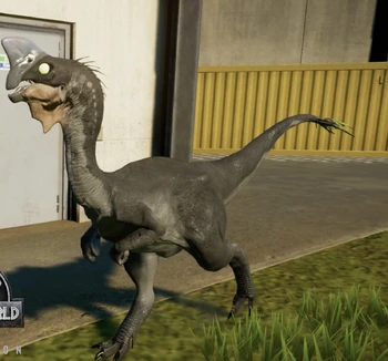 Oviraptor | Cartoon Network Animals Wiki | Fandom