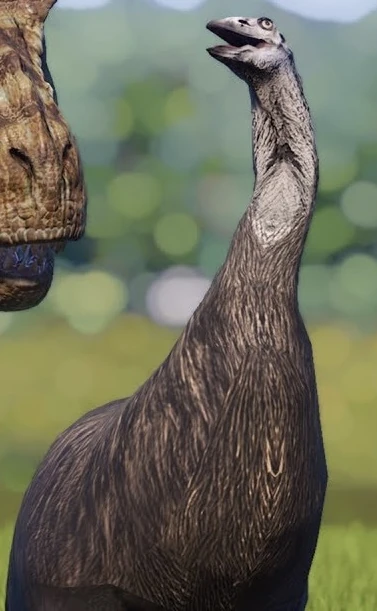 North Island Giant Moa | Cartoon Network Animals Wiki | Fandom