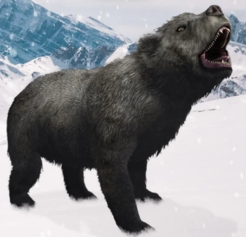 Cave Bear | Cartoon Network Animals Wiki | Fandom