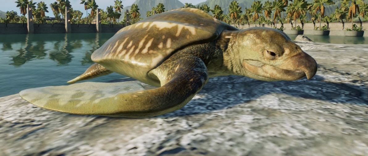 Archelon | Cartoon Network Animals Wiki | Fandom