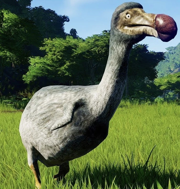 Dodo | Cartoon Network Animals Wiki | Fandom