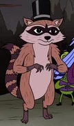 North American Raccoon | Cartoon Network Animals Wiki | Fandom