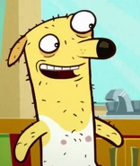 Domestic Dog | Cartoon Network Animals Wiki | Fandom