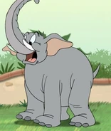African Bush Elephant | Cartoon Network Animals Wiki | Fandom